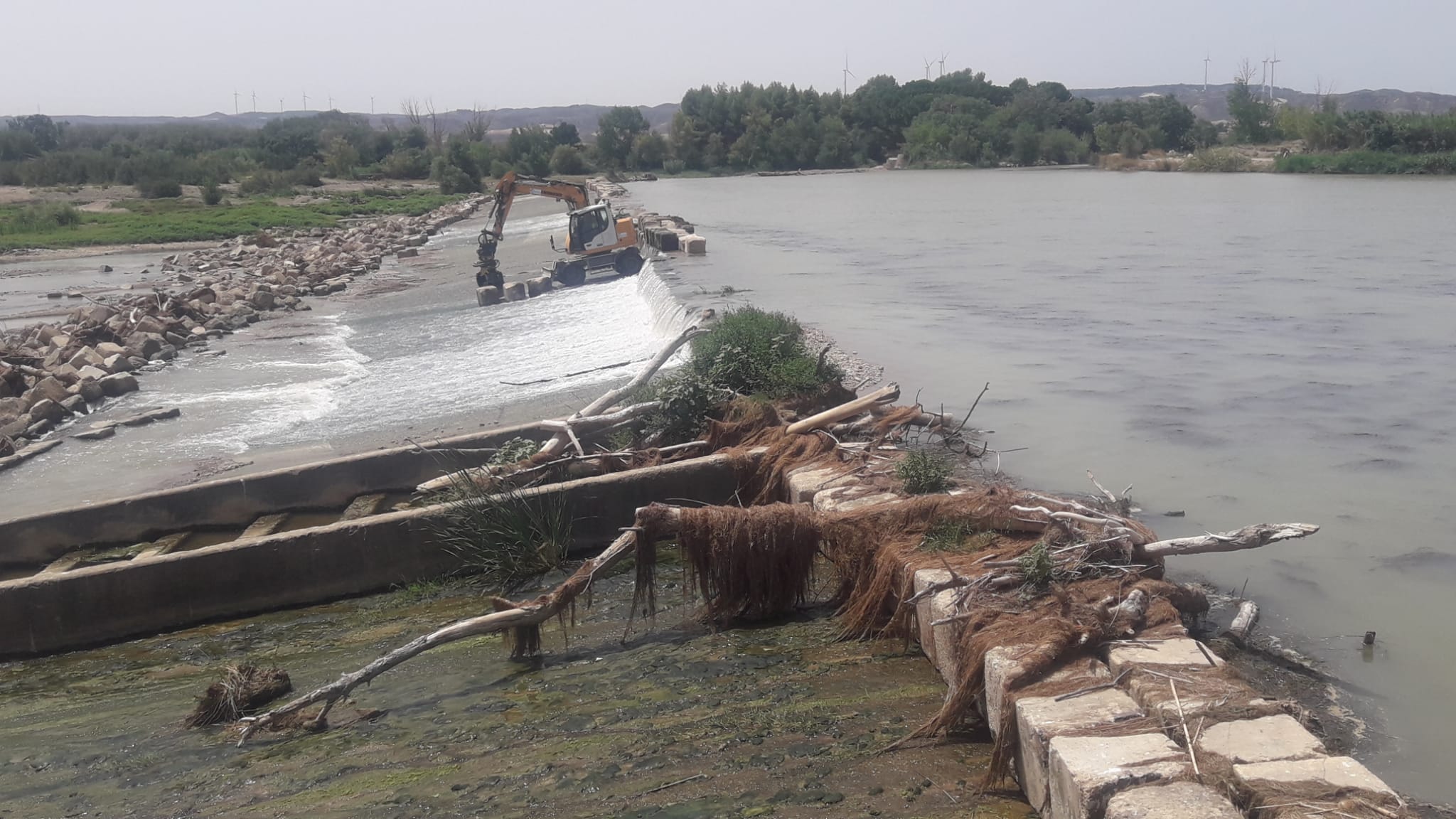 Ebro Resilience environmental actions: permeabilization of the Pina Dam ...