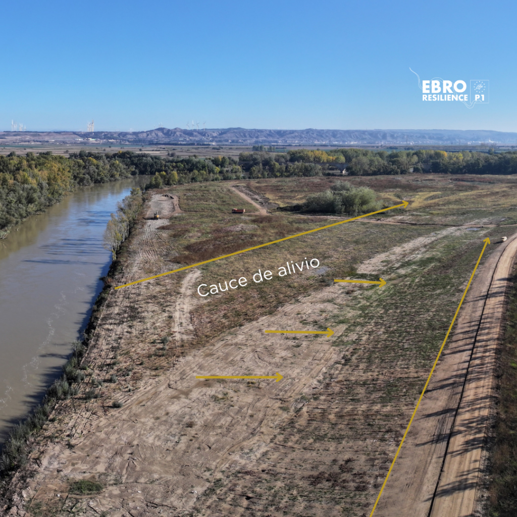 The relief channel in the meander of La Roza: a riparian corridor with ...
