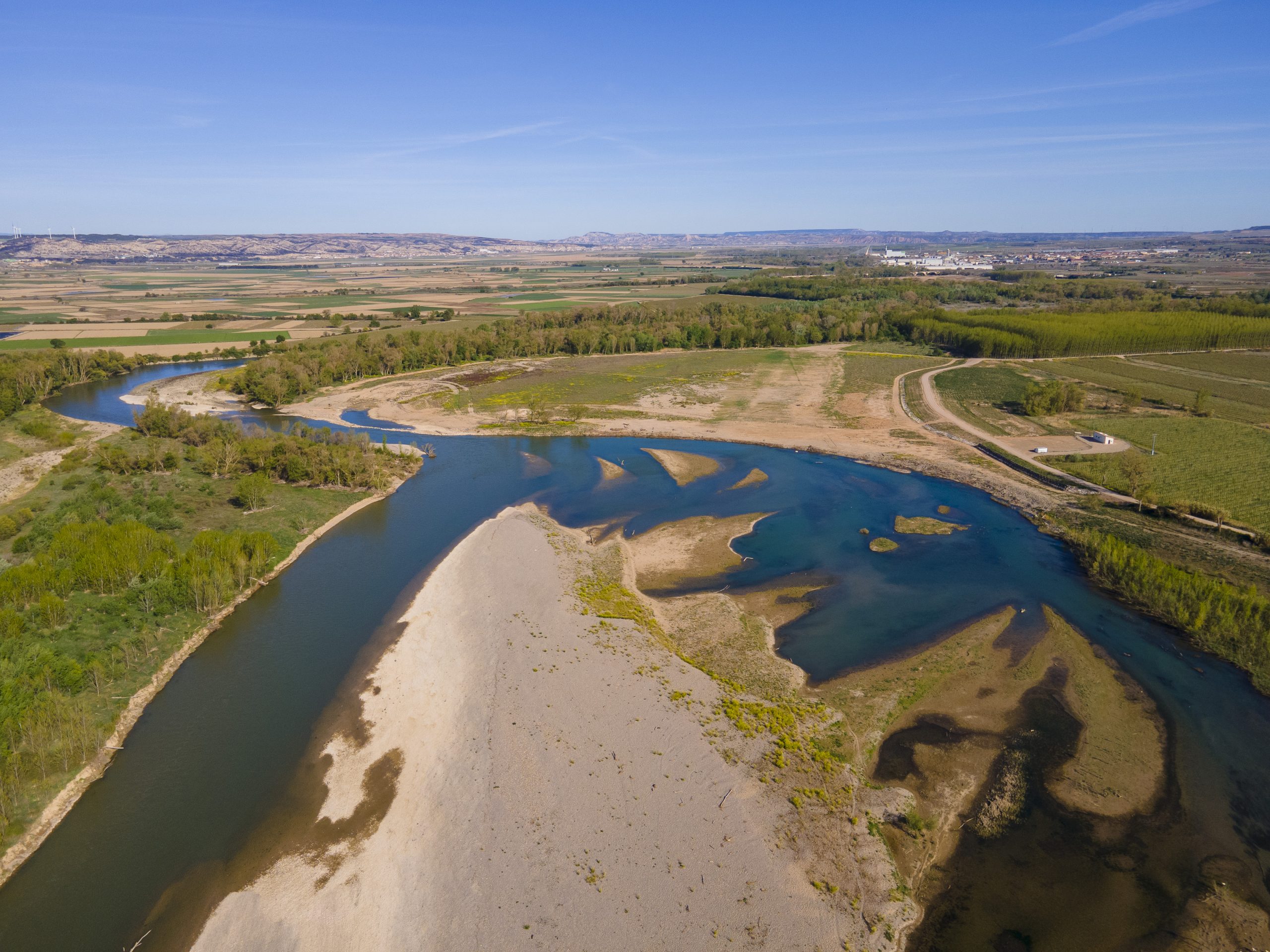 Completion of the morphological adaptation and environmental ...